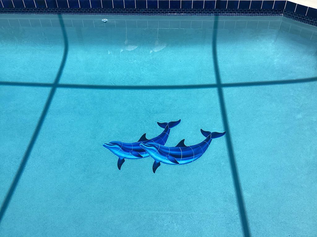 From Under The Sea To Your Backyard: The Magic Of Mosaics For Pools ...